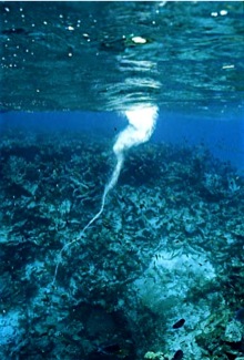 Introduction to Caves